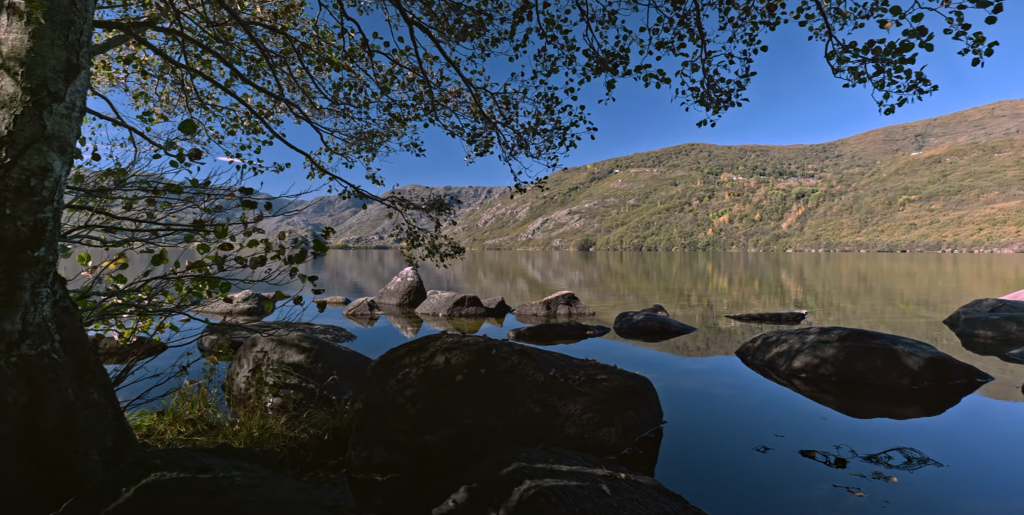 Simbología de la Región Leonesa - La Región Leonesa